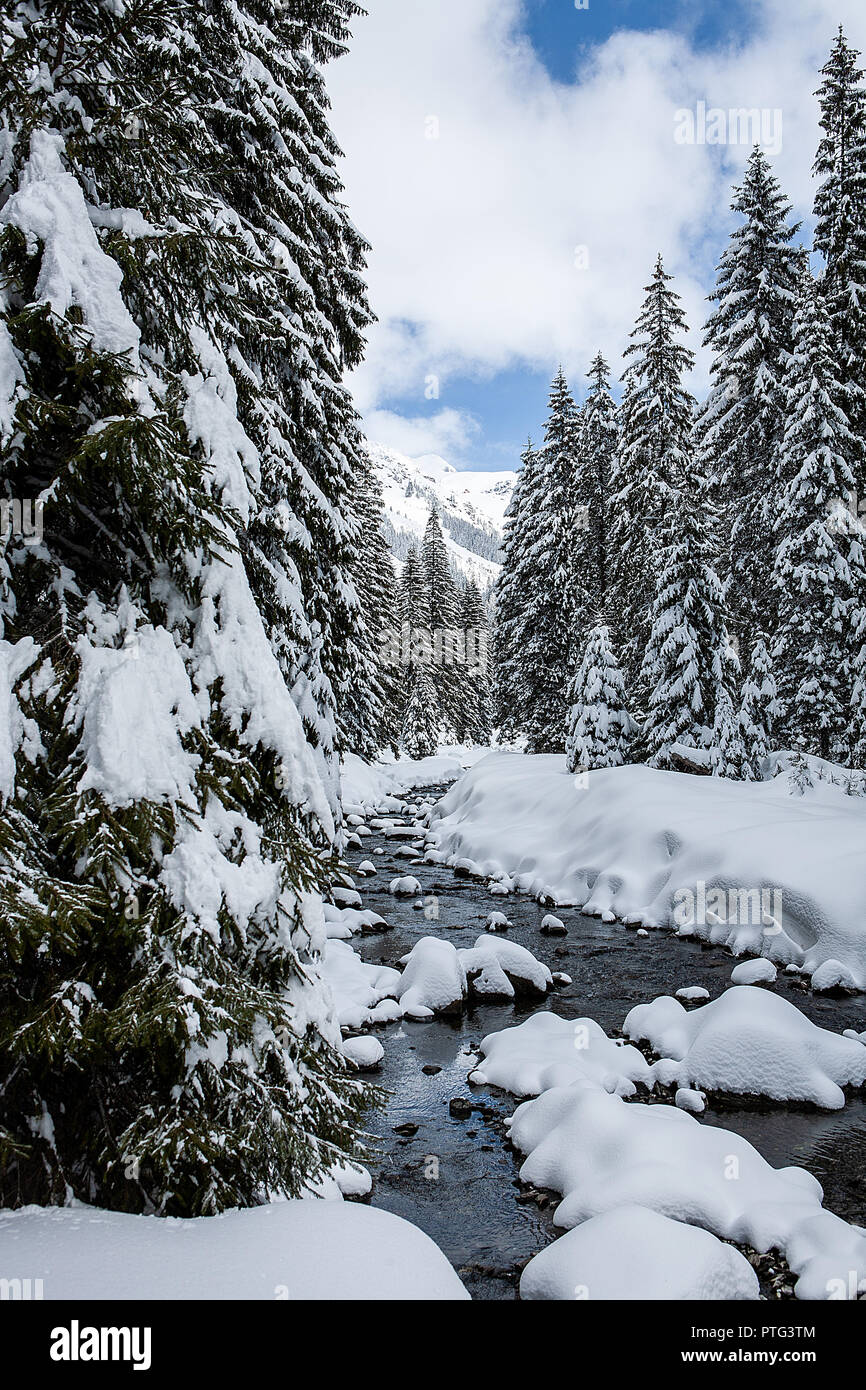 Winter landscape on sunny day on a background of mountains pine forest ...