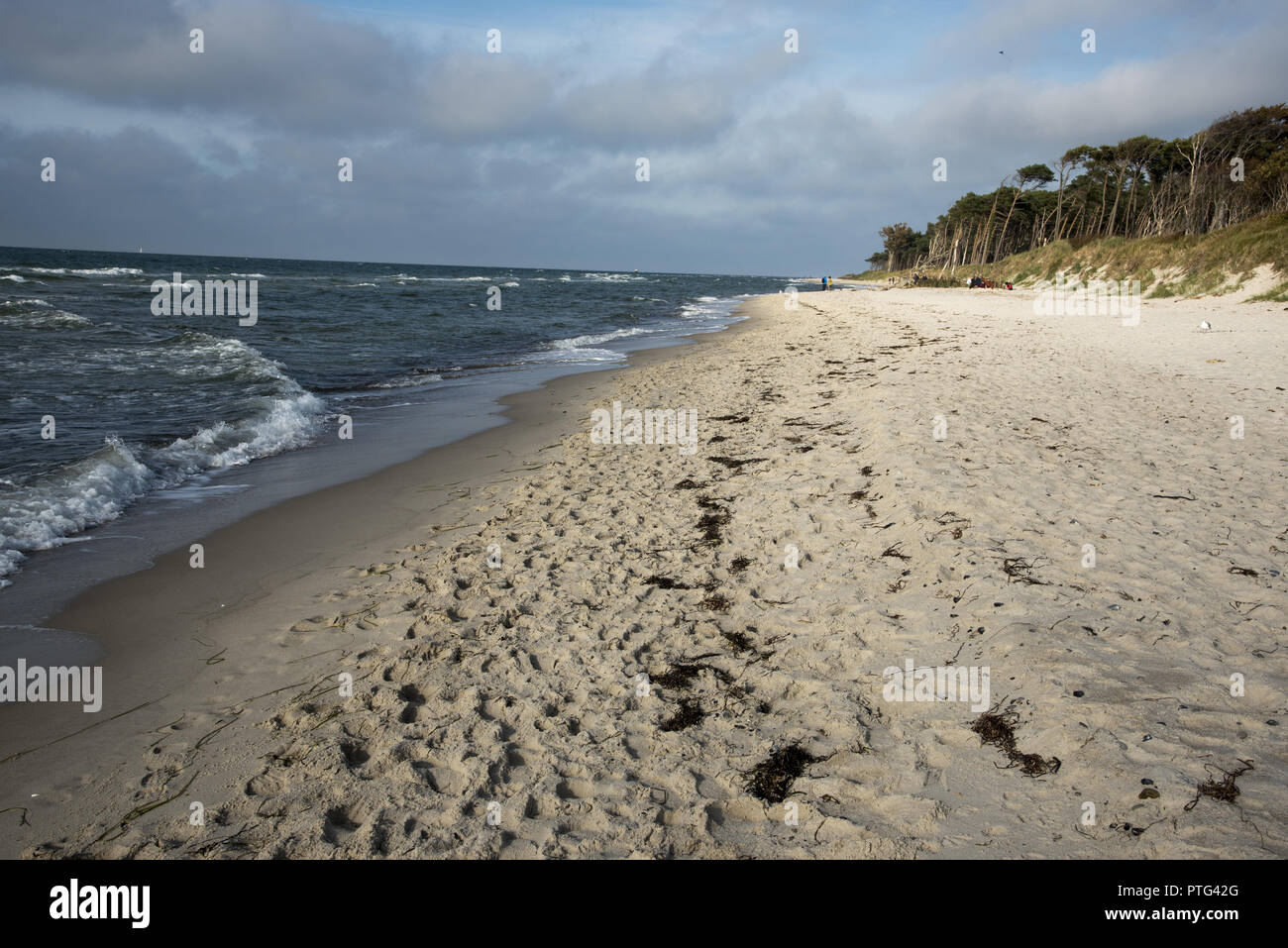 There is s natural sandy beach facing the Baltic Sea at the West coast ...