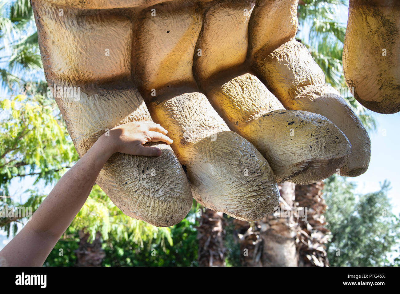 Hand of a giant doll comparing the size of a human Stock Photo - Alamy