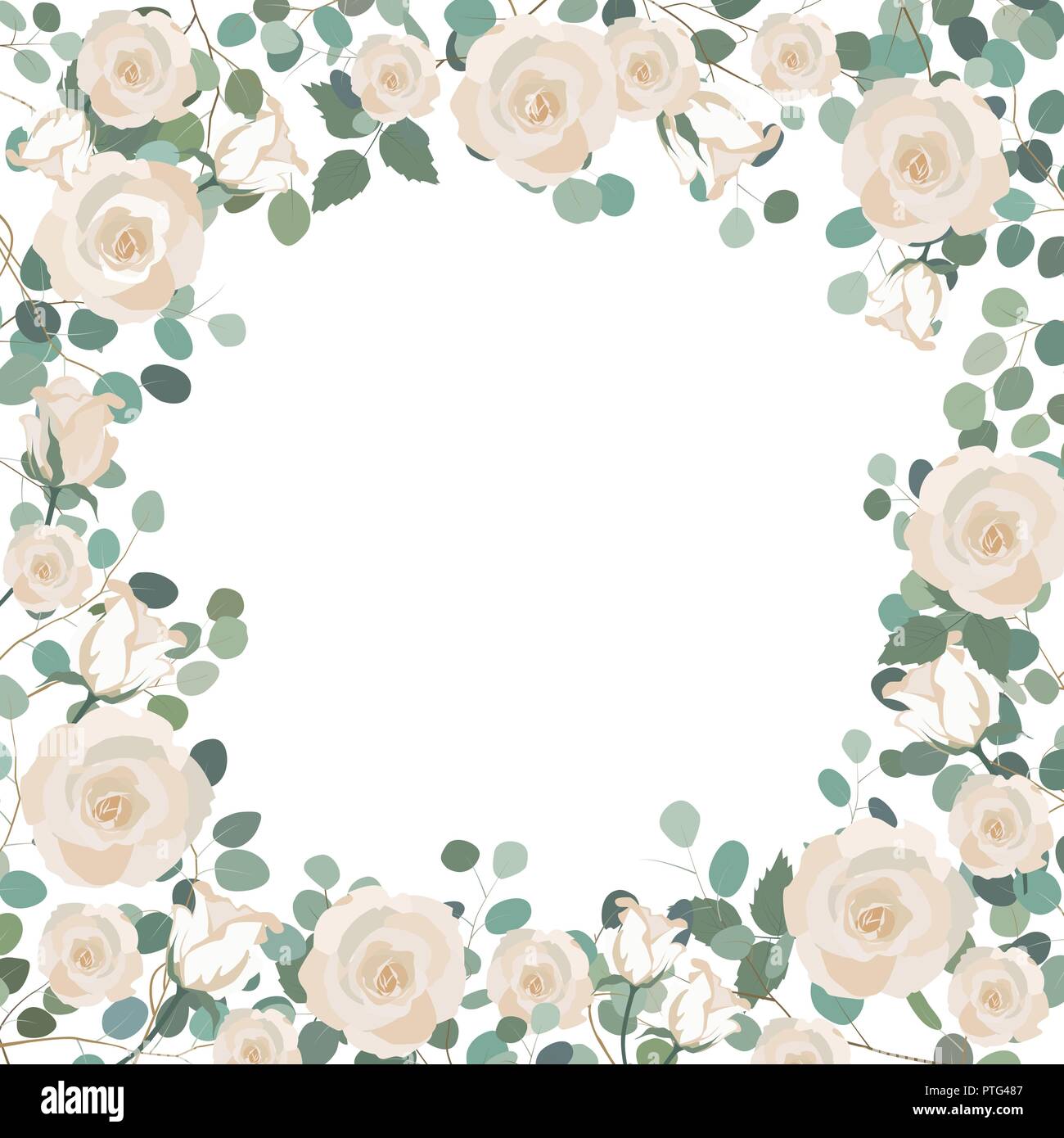 White Rose Border