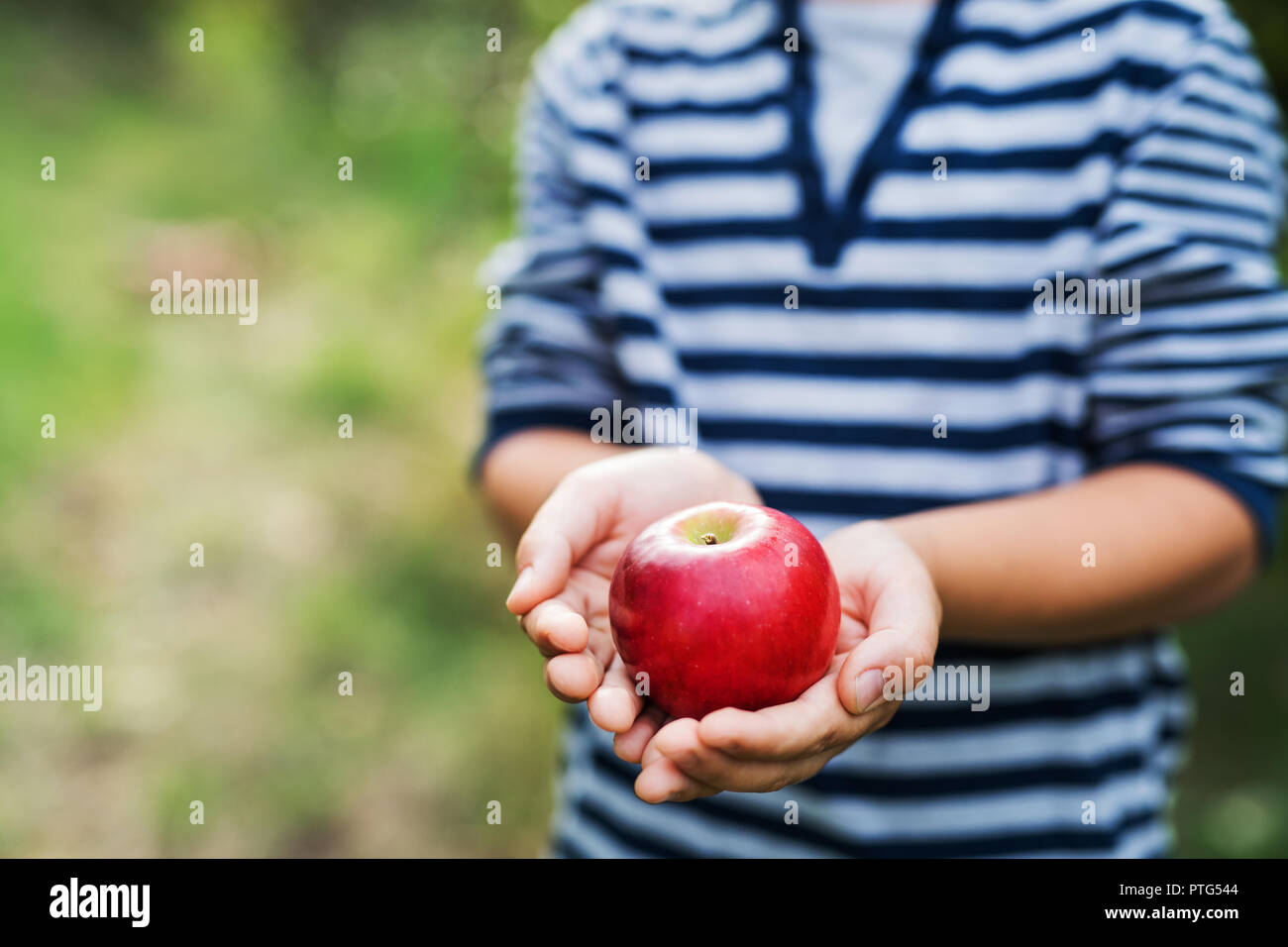 Empty apple tree hi-res stock photography and images - Alamy