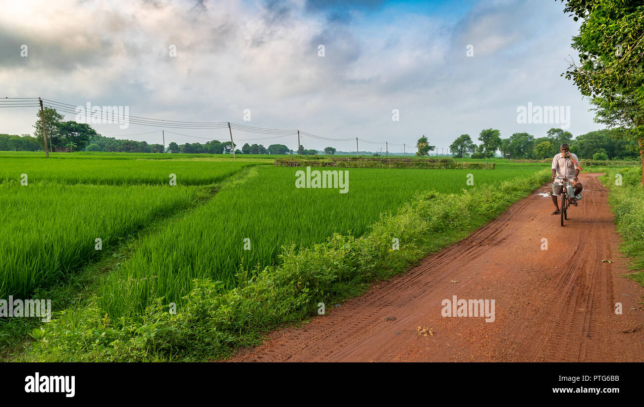 Indian milkman hi-res stock photography and images - Alamy
