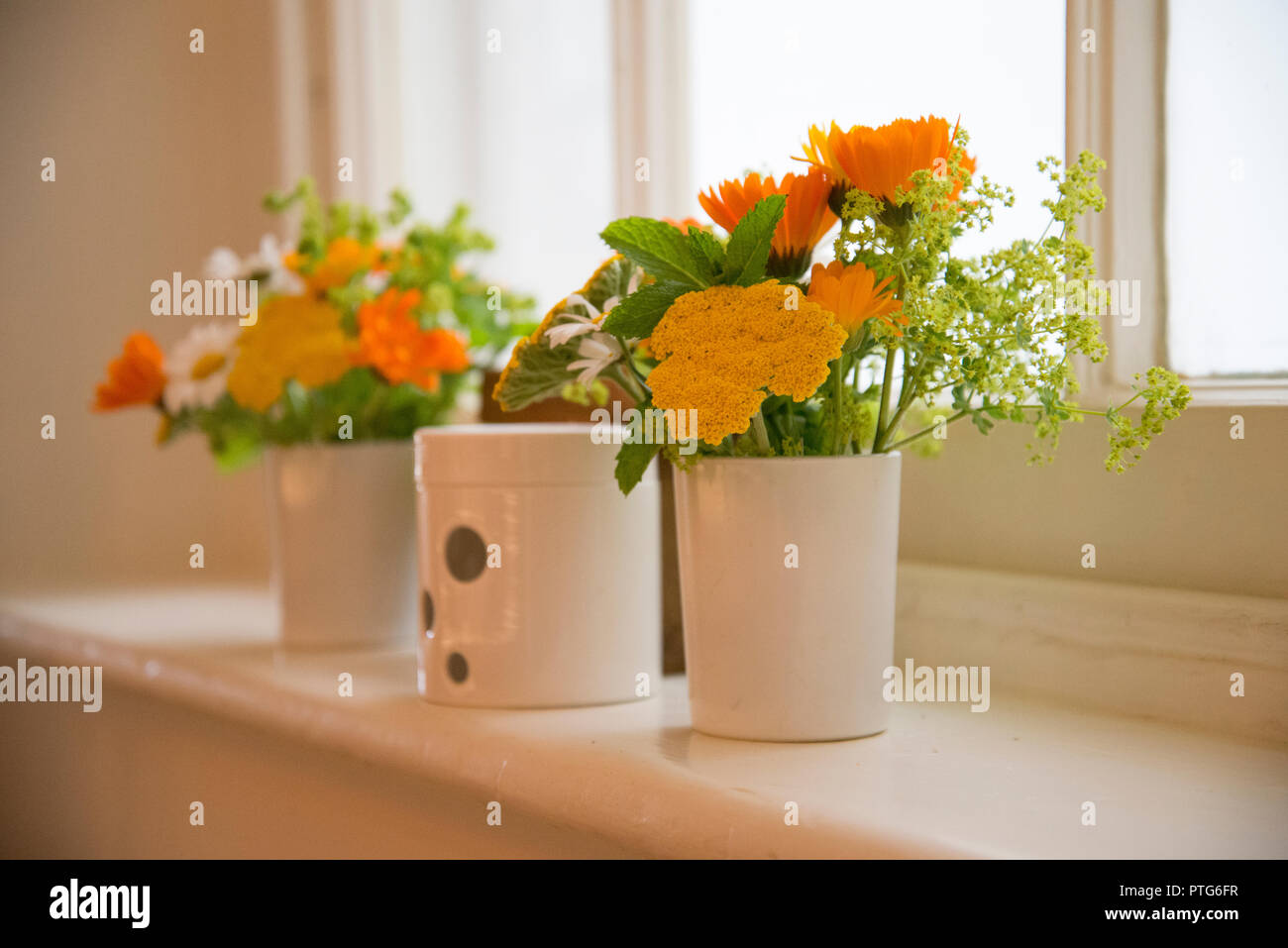 Spring floral arrangments on a window Stock Photo - Alamy
