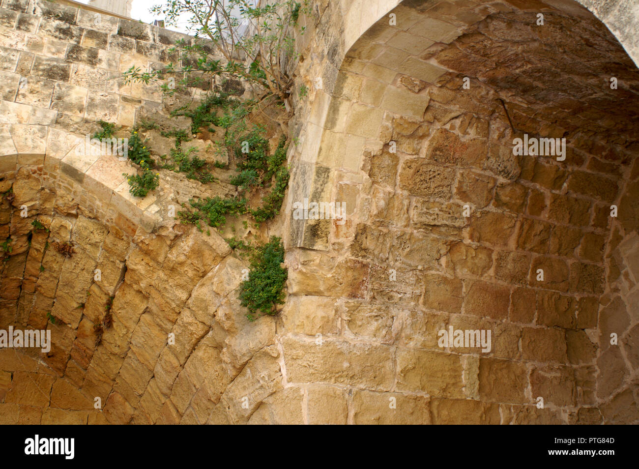 Akko castle hi-res stock photography and images - Alamy