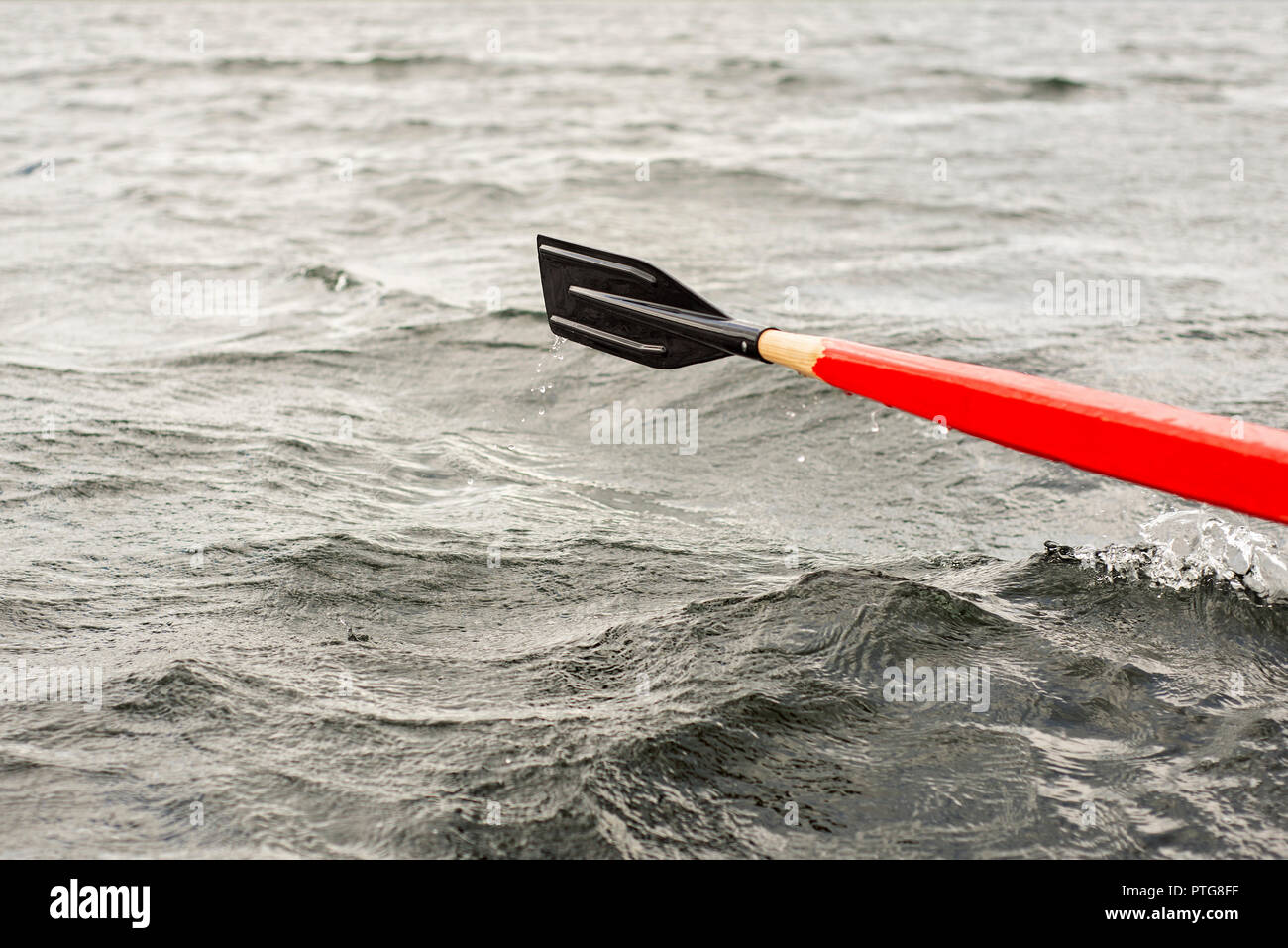 Red blade and black grip wooden paddle rowing boat in the lake Stock ...