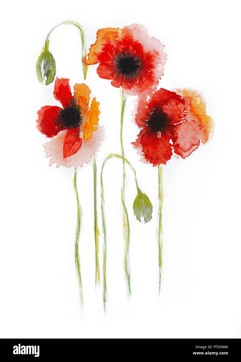 Botanical wild flowers watercolor frame Cut Out Stock Images & Pictures ...