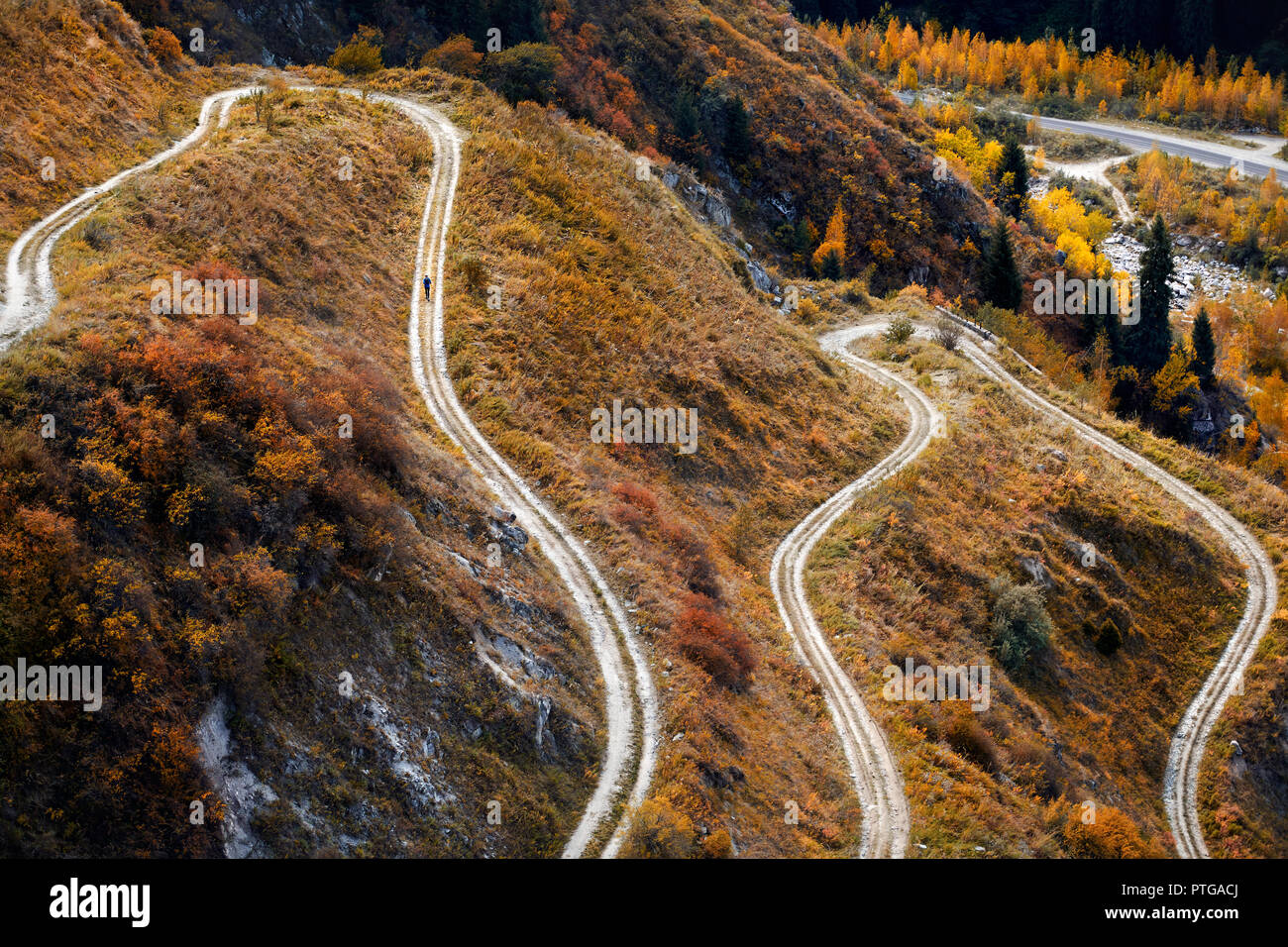 Aerial view of runner athlete running on the serpentine road in the ...