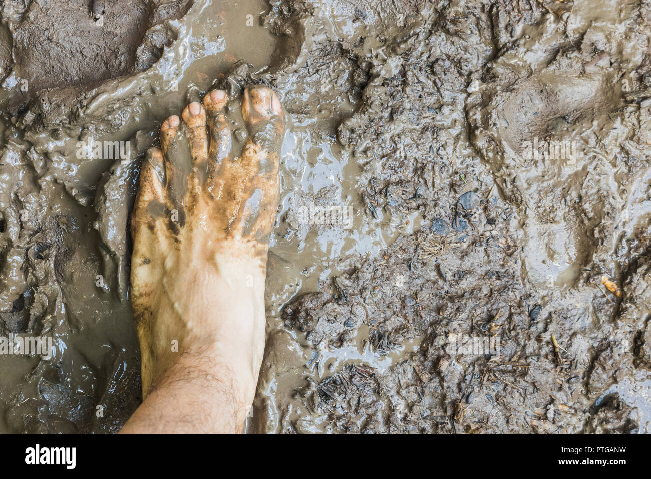 barefoot aerial view on mud surface in the forest Stock Photo - Alamy