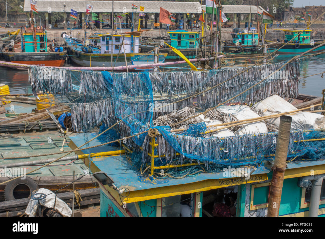 Fishing boats at the Sassoon Docks in Mumbai, India Stock Photo - Alamy