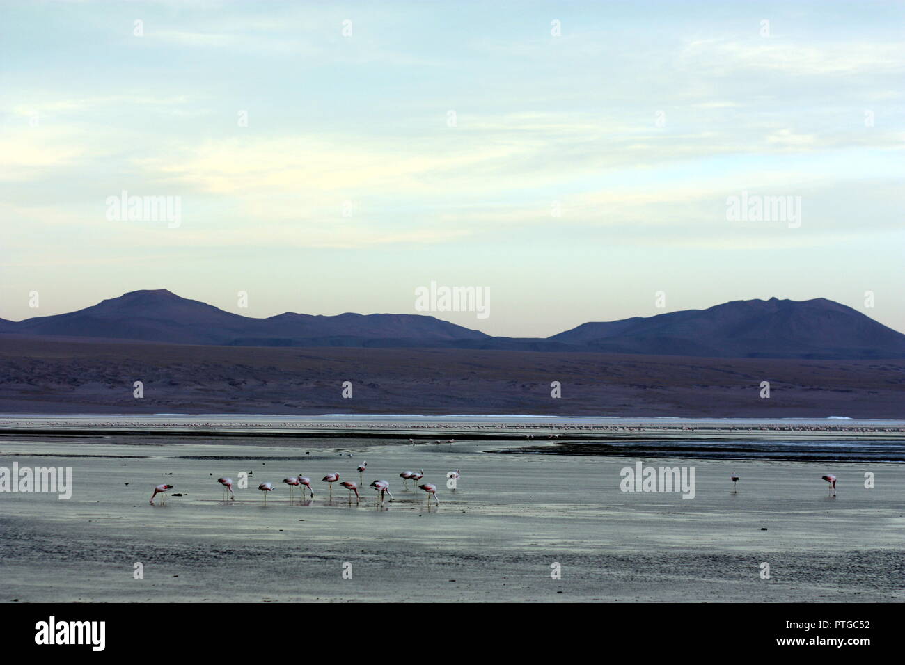 Paisaje bolivia hi-res stock photography and images - Alamy