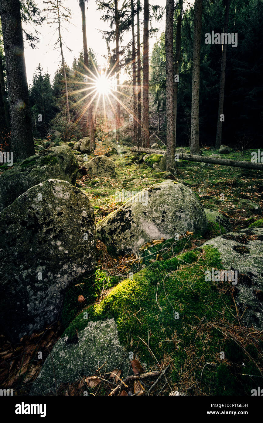 Foreground of rocks hi-res stock photography and images - Alamy