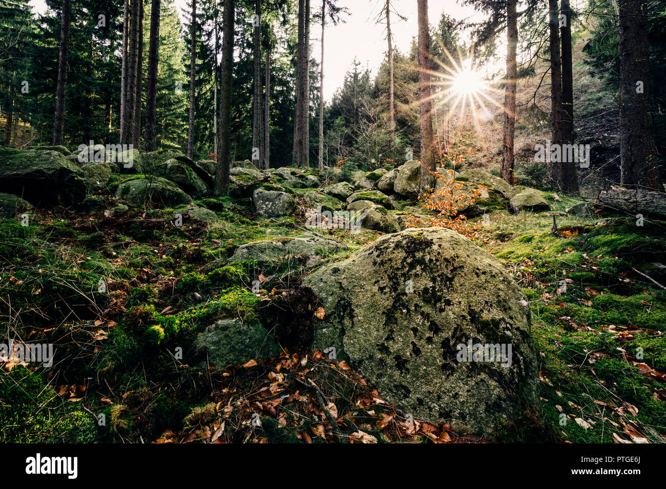 Foreground of rocks hi-res stock photography and images - Alamy