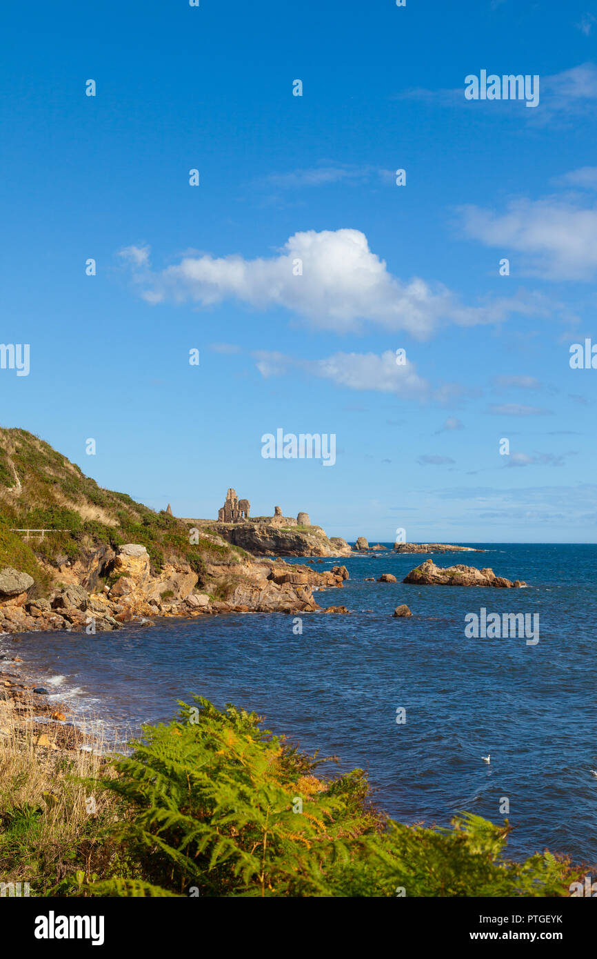 Path to castle hi-res stock photography and images - Alamy