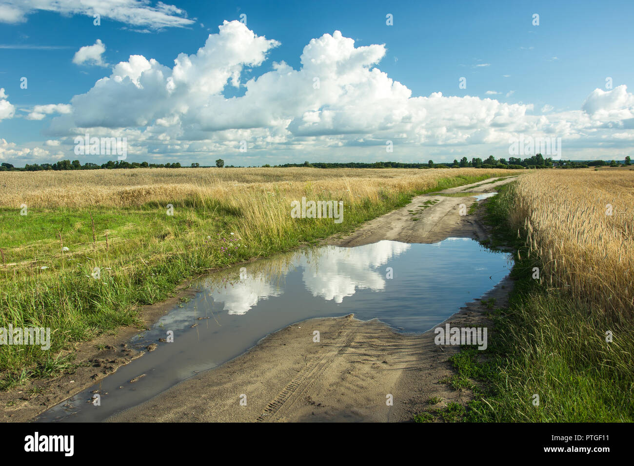 Puddle reflection in road hi-res stock photography and images - Alamy