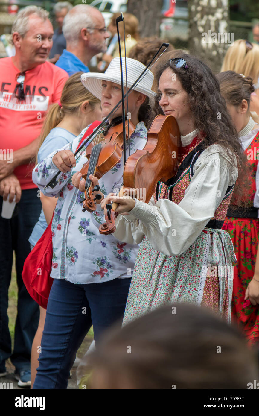 Hungarian traditional folk instrument hi-res stock photography and ...