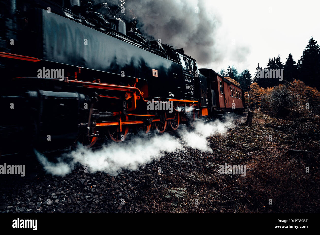 Forest locomotive hi-res stock photography and images - Alamy