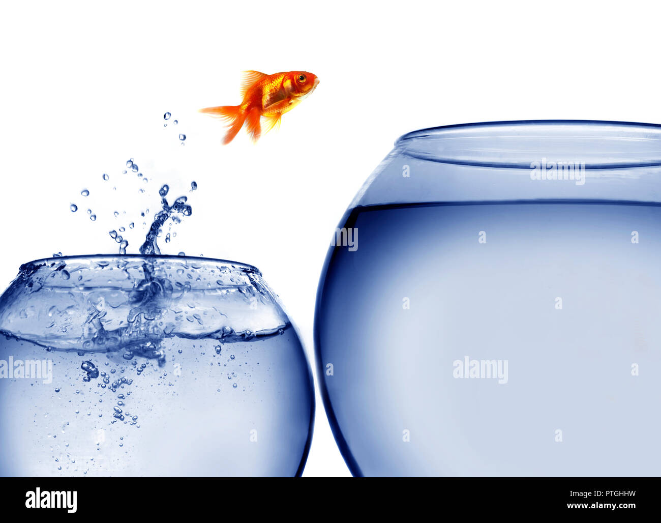 Goldfish jumping out of the water Stock Photo - Alamy