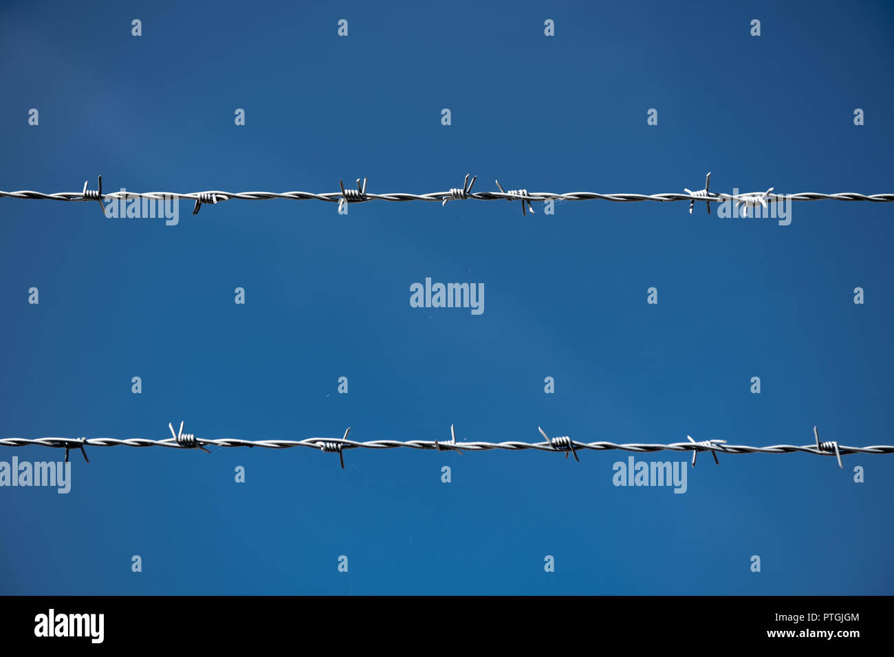 Two rows of Barbed Wire in front of blue sky Stock Photo - Alamy