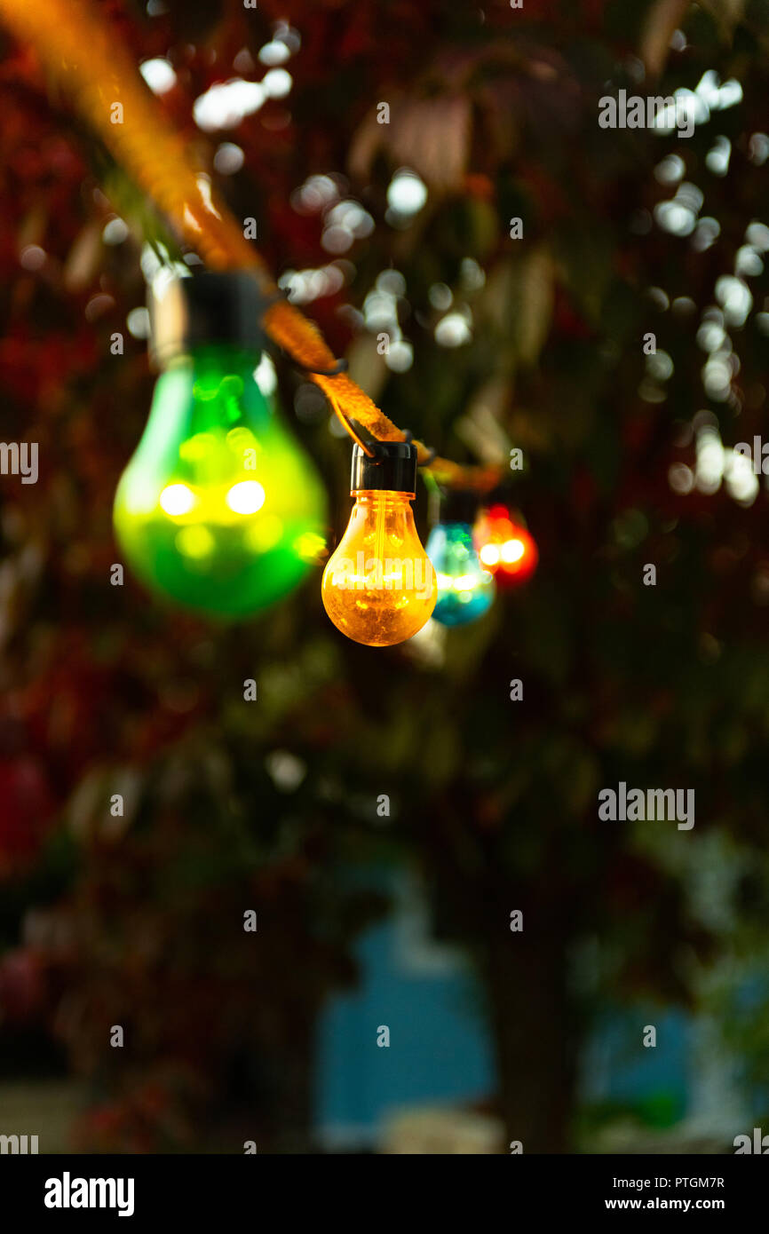 Colored party light bulb shining on chain Stock Photo - Alamy