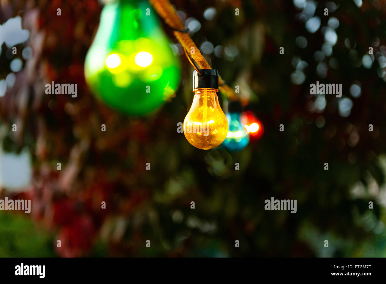 Colored party light bulb shining on chain Stock Photo - Alamy