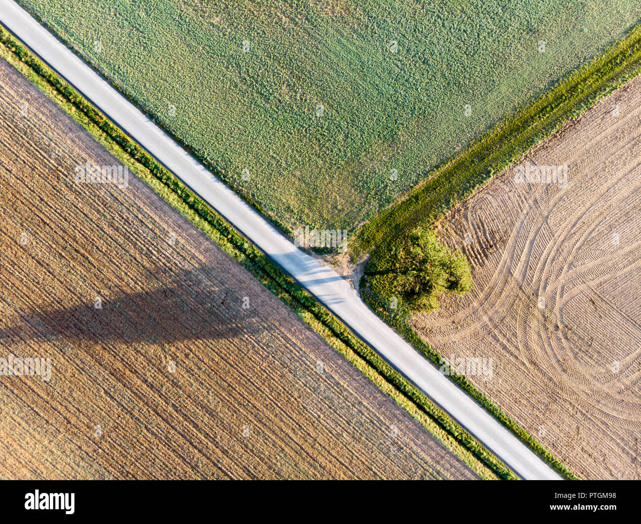 Drone tree lines hi-res stock photography and images - Alamy