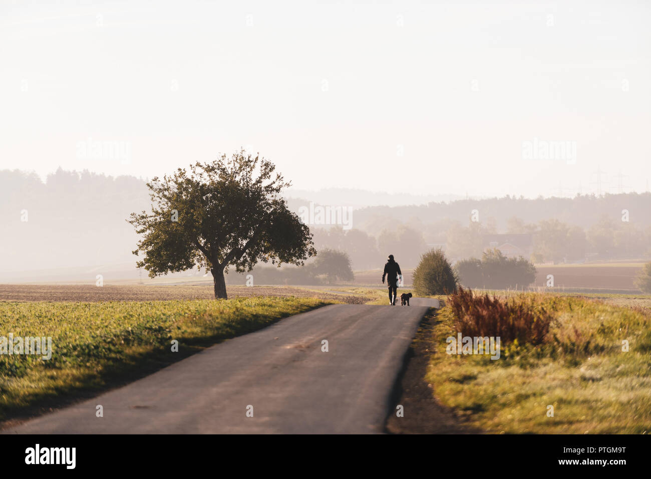 Woman and dog take a walk in open fields in Stock Photo - Alamy