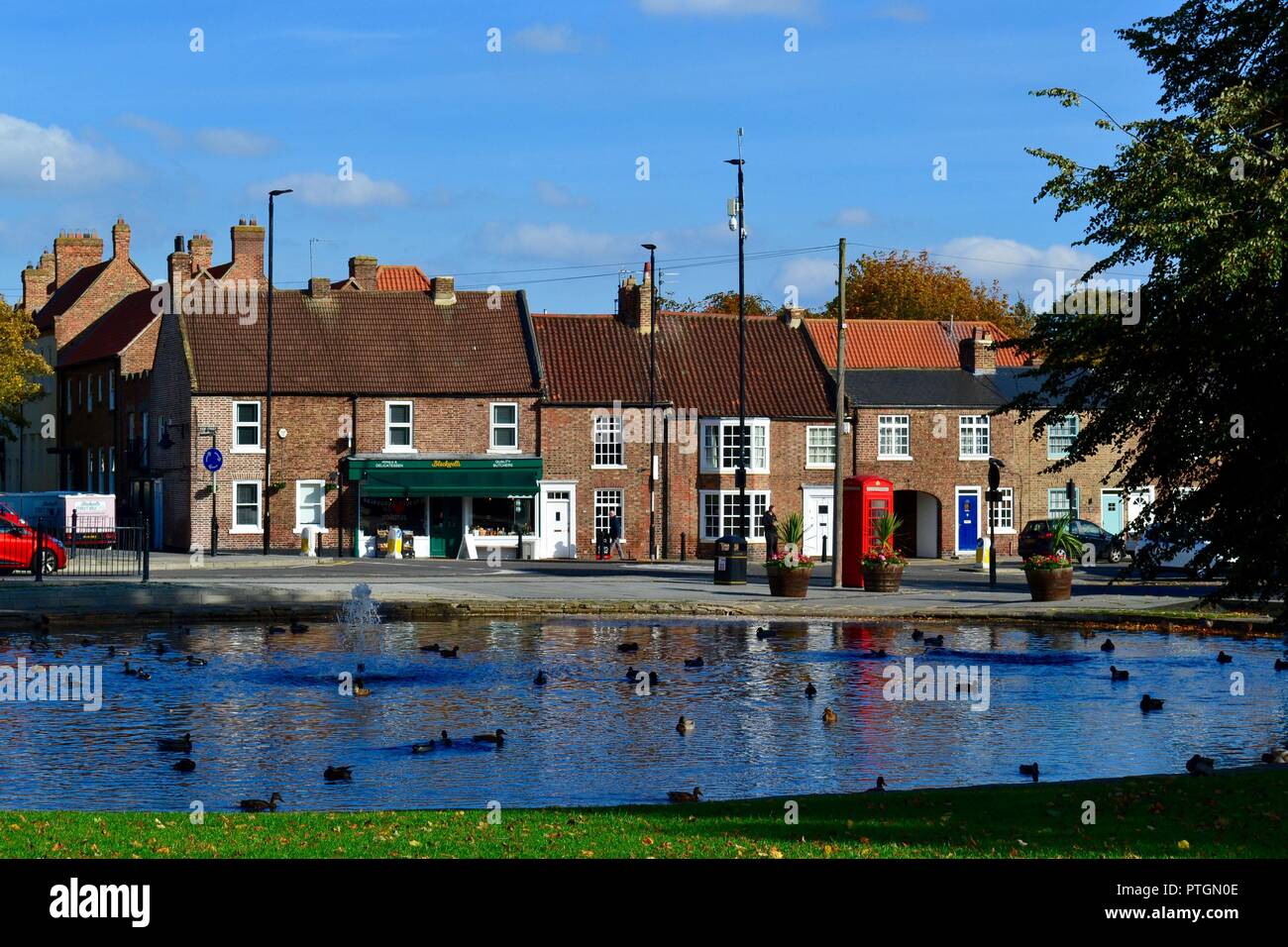 Colourful autumn scene at Norton duck pond, in the typically British ...