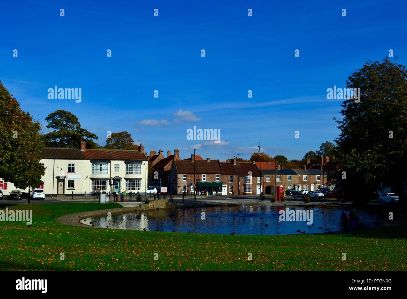 Colourful autumn scene at Norton duck pond, in the typically British ...