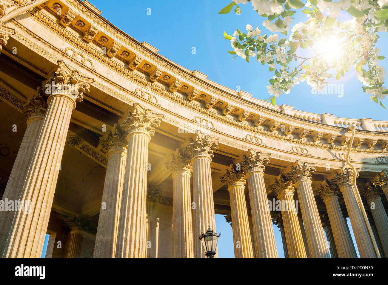 Kazan Cathedral colonnade in St Petersburg Russia framed by blooming ...