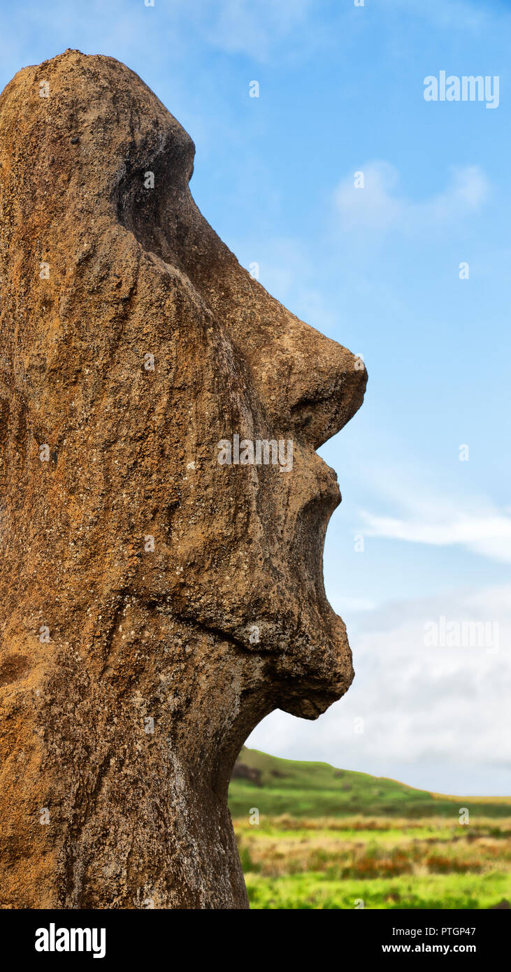 in chile rapa nui the antique and mysteriuos muai statue symbol of an ...