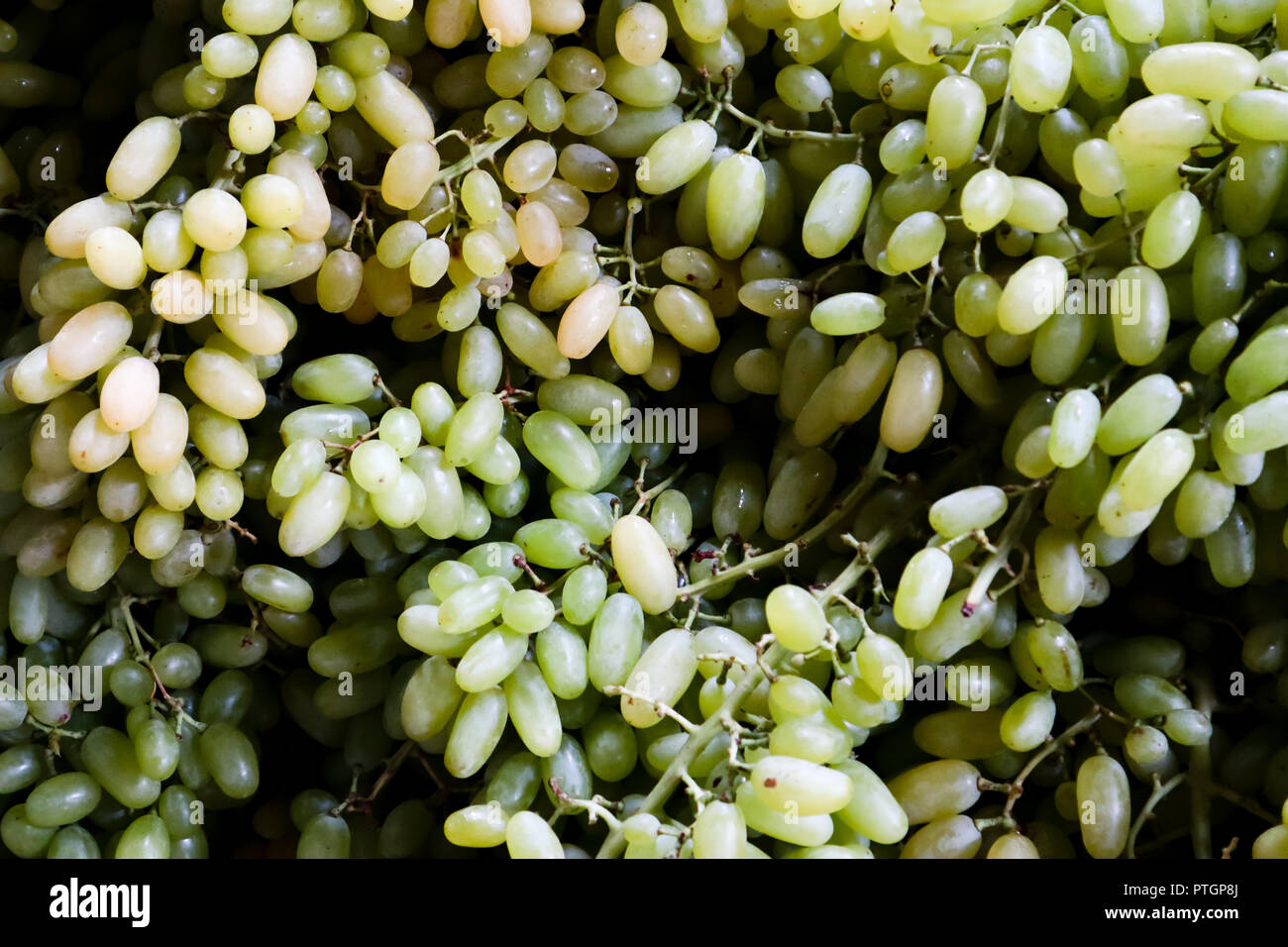 Green seedless grape hi-res stock photography and images - Alamy