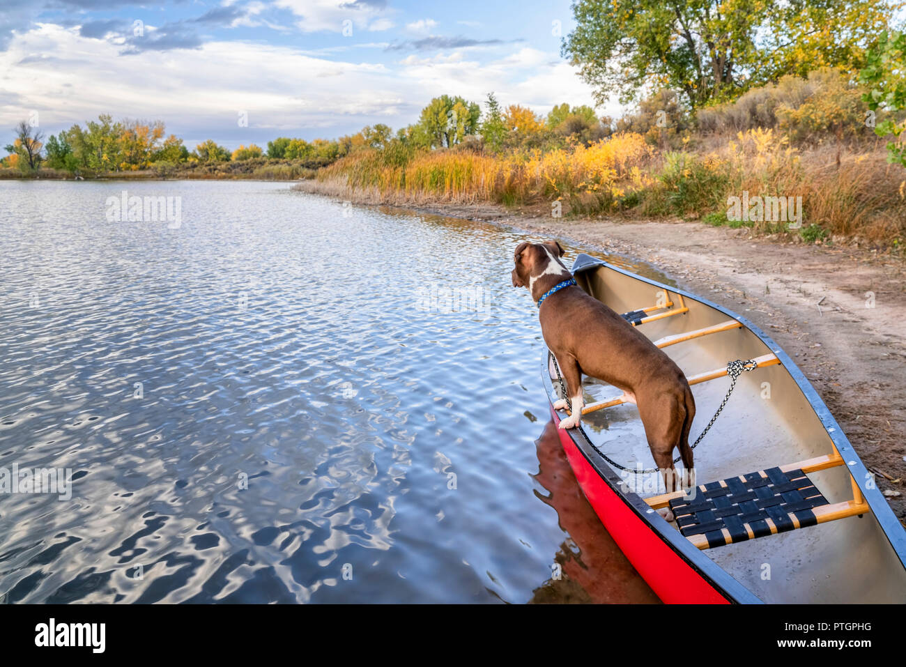 Fall into the pit hi-res stock photography and images - Alamy
