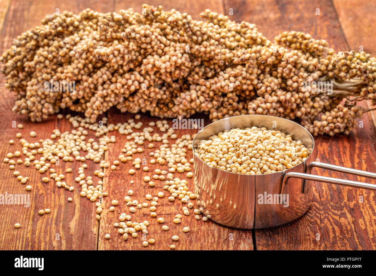 Sorghum Grains High Resolution Stock Photography and Images - Alamy