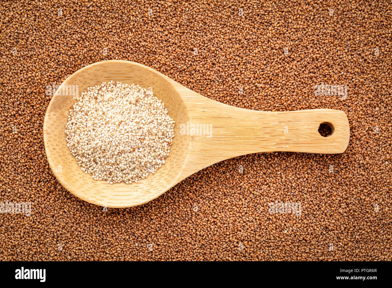 gluten free ivory teff grain on a wooden spoon against background of ...