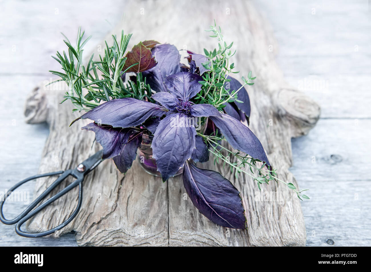 Lovely Rosemary Stock Photos & Lovely Rosemary Stock Images - Alamy