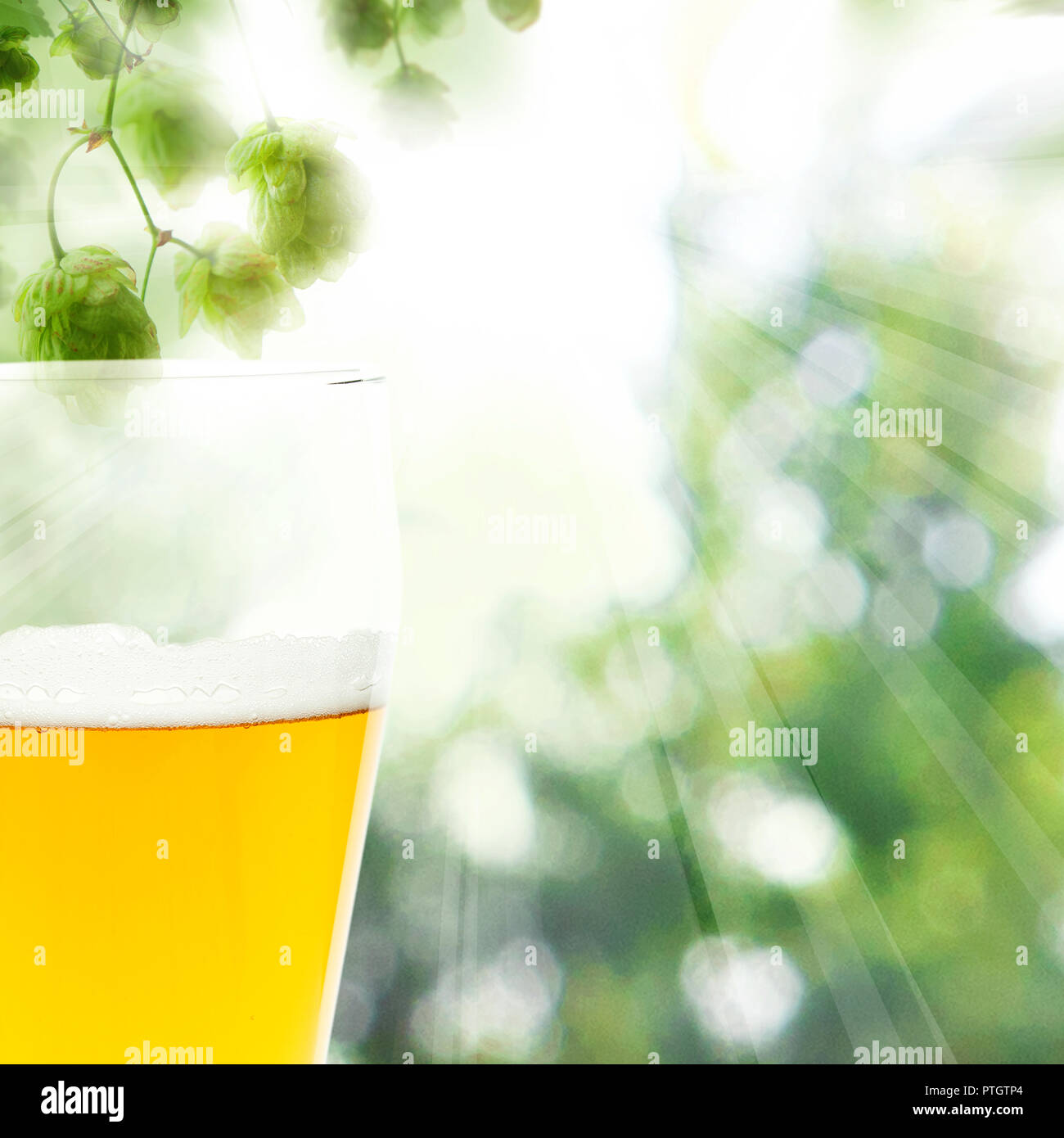 Beer glass on abstract hi-res stock photography and images - Alamy