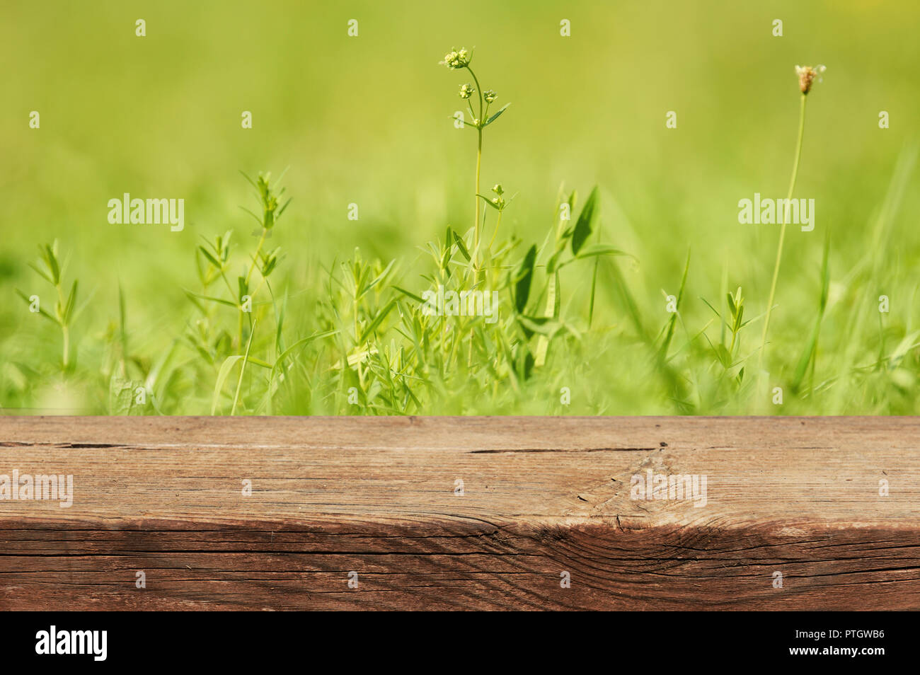 Spring background ready for your display montages Stock Photo - Alamy
