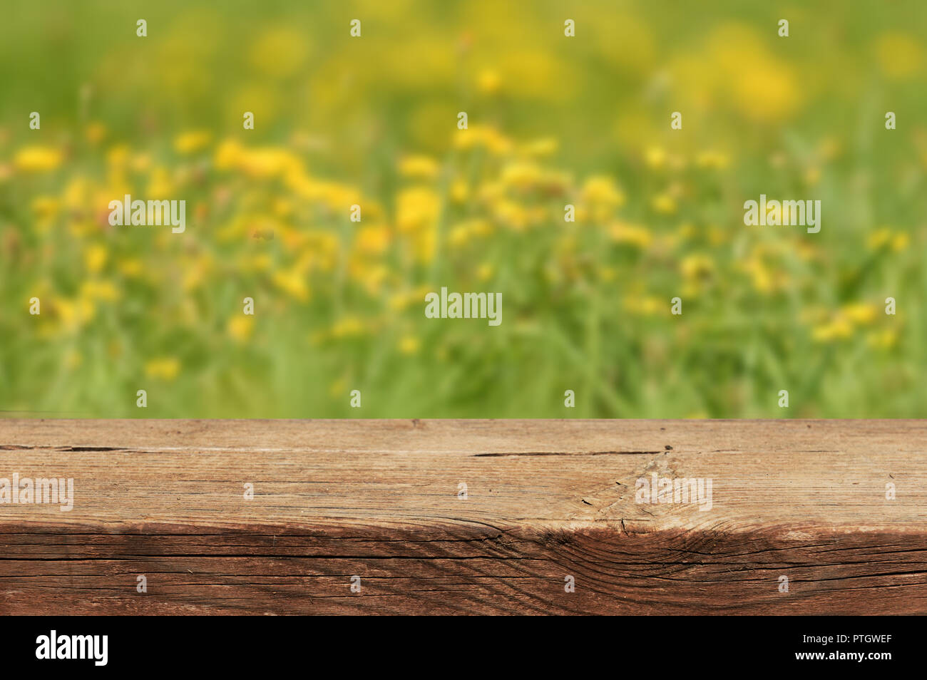 Spring background ready for your display montages Stock Photo - Alamy