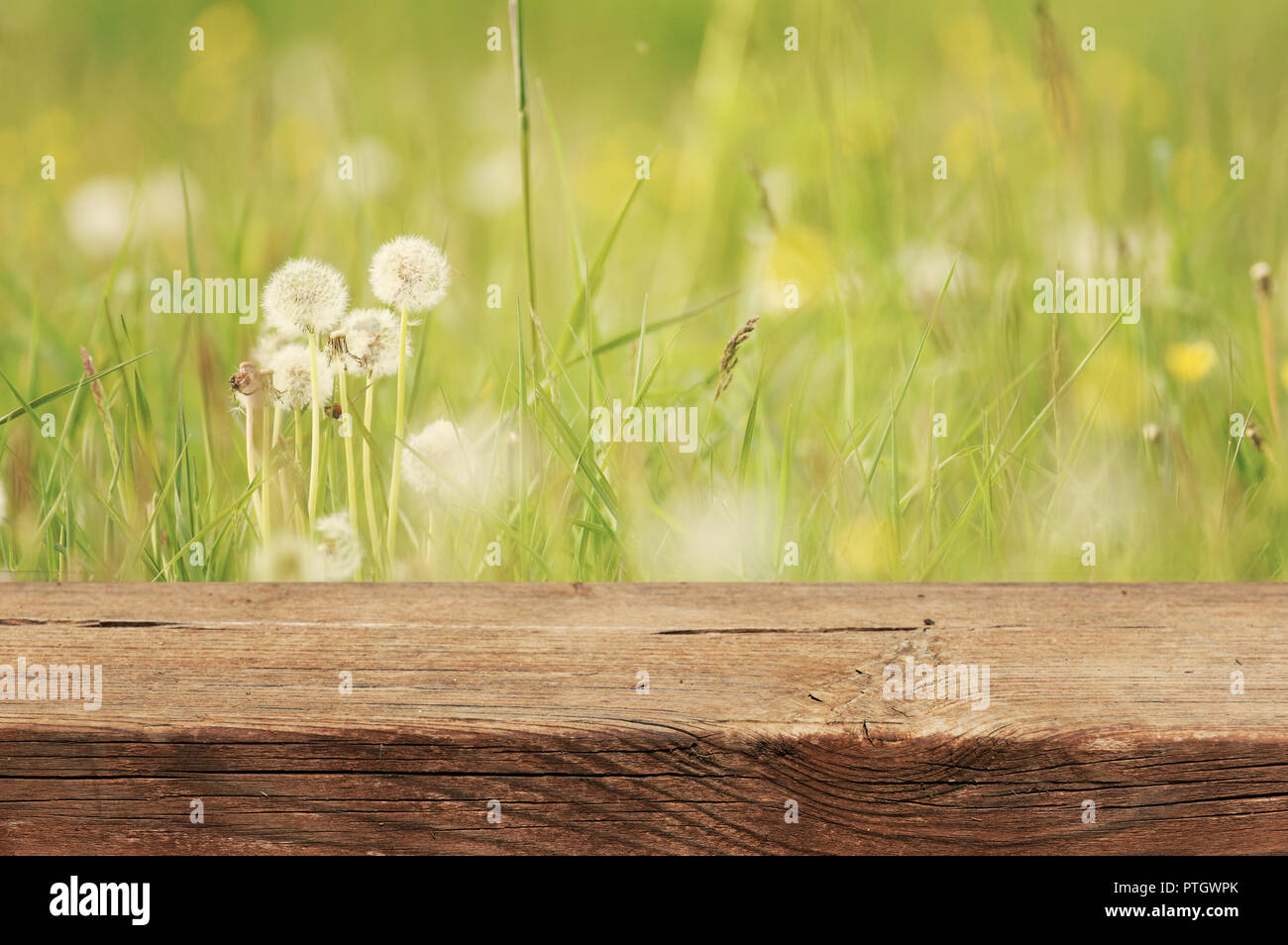 Spring background ready for your display montages Stock Photo - Alamy