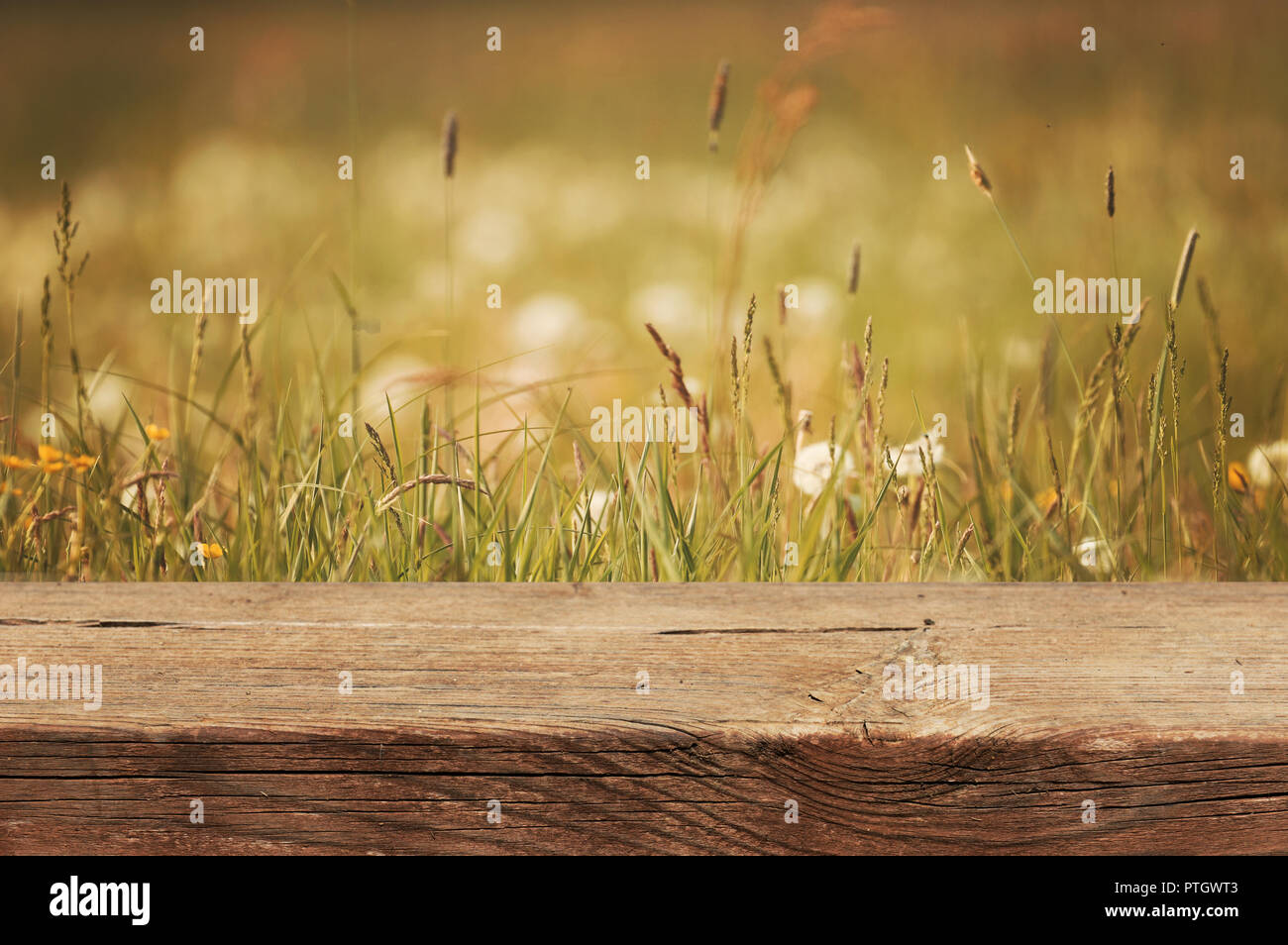 Spring background ready for your display montages Stock Photo - Alamy