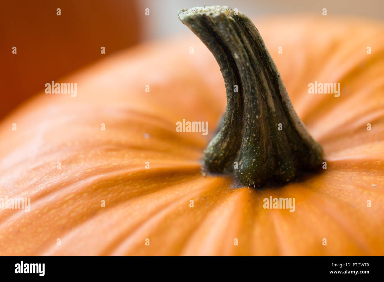 Pumpkin with stem hi-res stock photography and images - Alamy