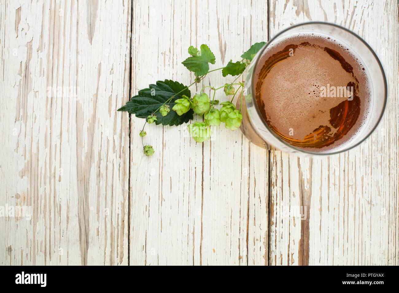 Beer glass top view. Beer and beer hops on wooden background with copy ...