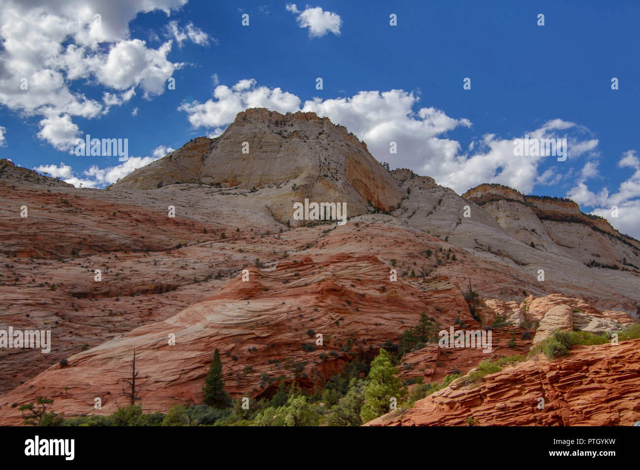 Striated rock in Zion National Park Stock Photo - Alamy