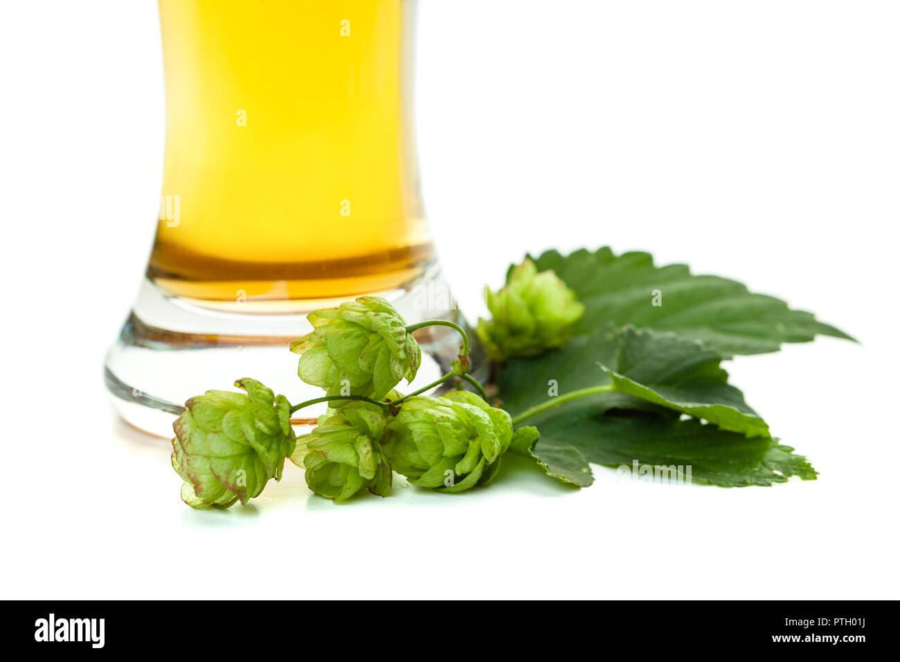 Beer hops and beer glass on white background Stock Photo - Alamy