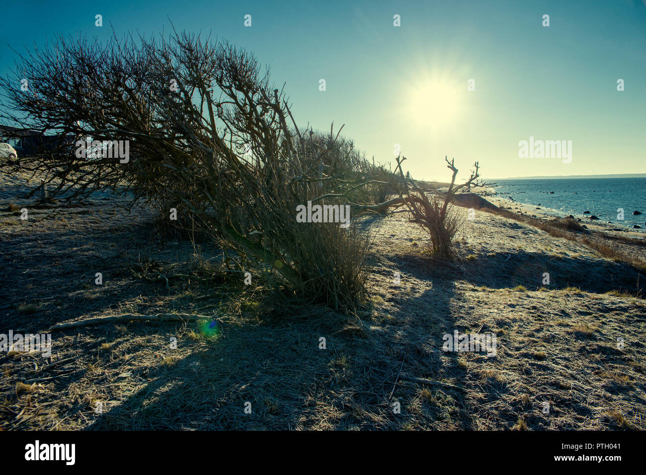beach near the sea Stock Photo - Alamy