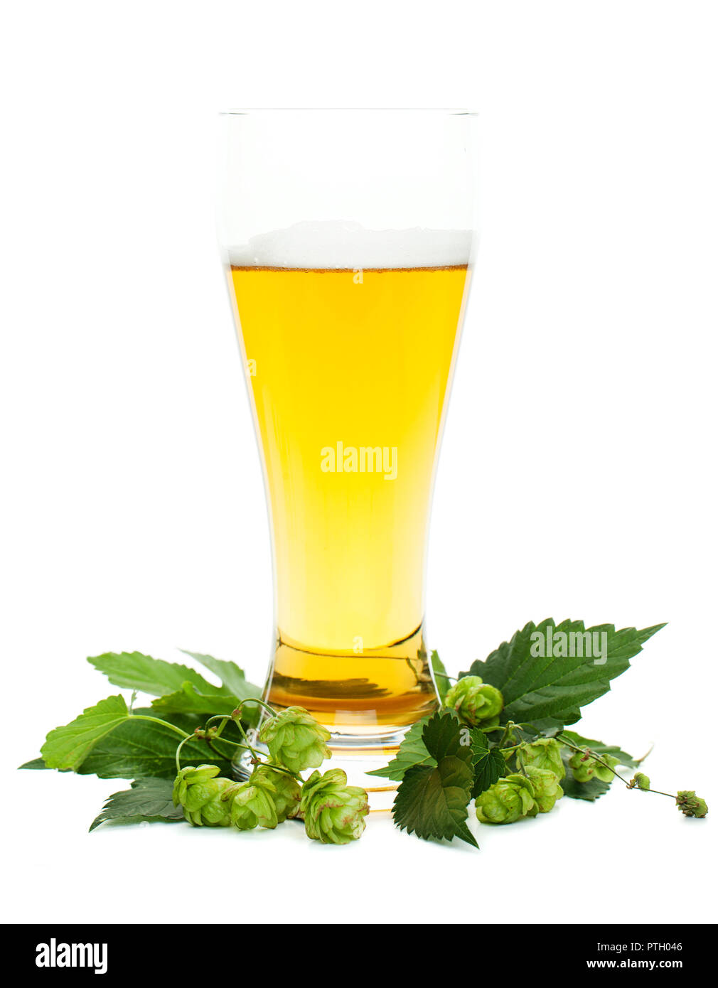 Beer glass and beer hops on white background Stock Photo - Alamy