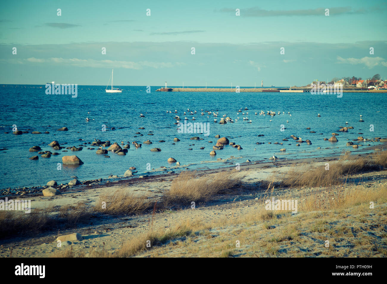 beach near the sea Stock Photo - Alamy