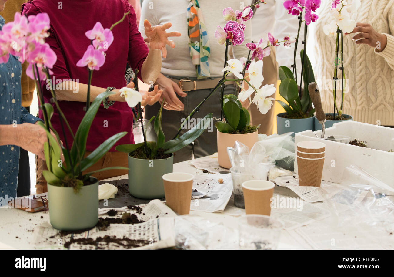 Seniors learning hi-res stock photography and images - Alamy