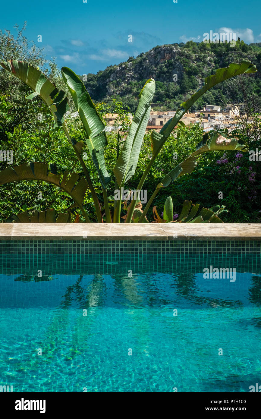 Mediterranean cactus hi-res stock photography and images - Alamy