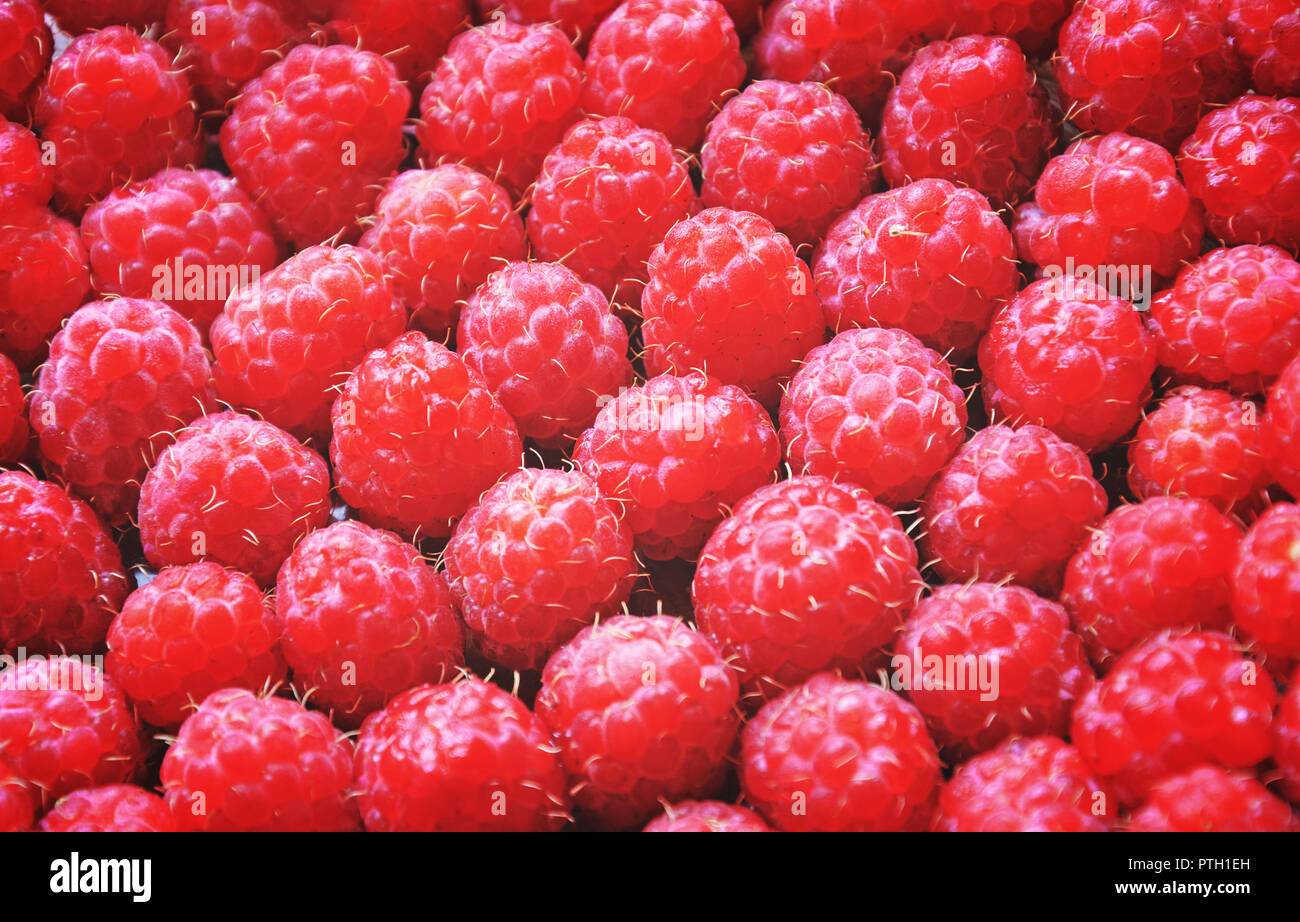 Fresh juicy raspberries Stock Photo - Alamy
